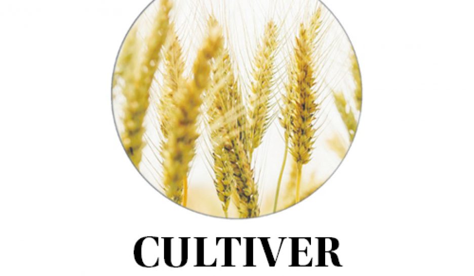 Série d'été «Cultiver la proximité» - Le Courrier