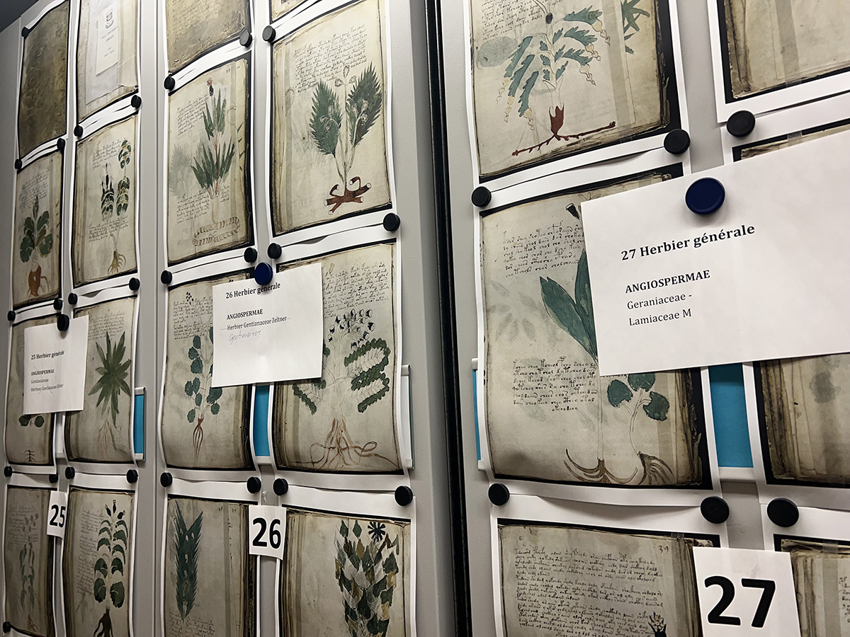 Un botaniste ressuscité des cartons - Le Courrier